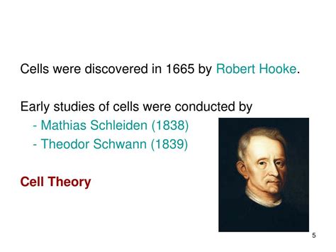 Ppt Cell Structure Powerpoint Presentation Free Download Id 4377292