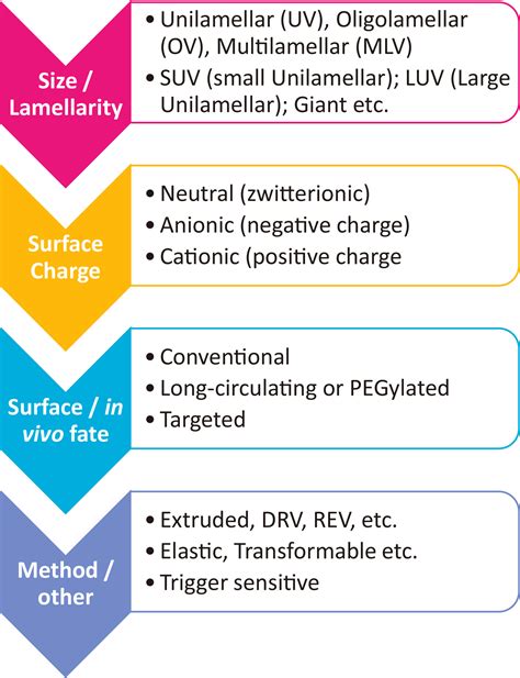 Development Of Growth Factor Incorporating Liposomes For Integration Into Scaffolds As A Method