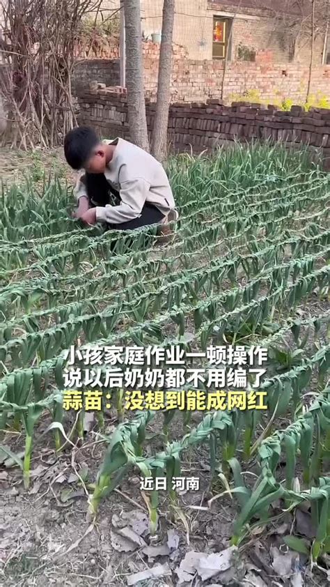 小学生 的家庭作业 ：帮家长 做的一件事。