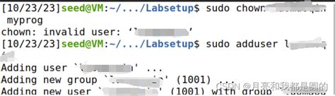网络攻防 环境变量与setuidsetuid后环境变量怎么传递 Csdn博客