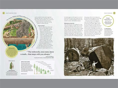 The Tree Book Penguin Books Australia