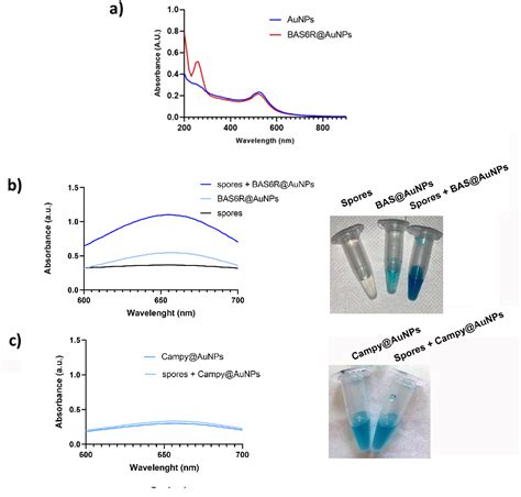 Figure 3 From Colorimetric Aptasensor For Detection Of Bacillus Cytotoxicus Spores In Milk And
