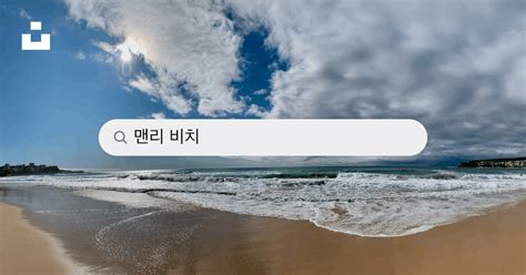 맨리 비치manly Beach 사진 Unsplash에서 무료 이미지 다운로드