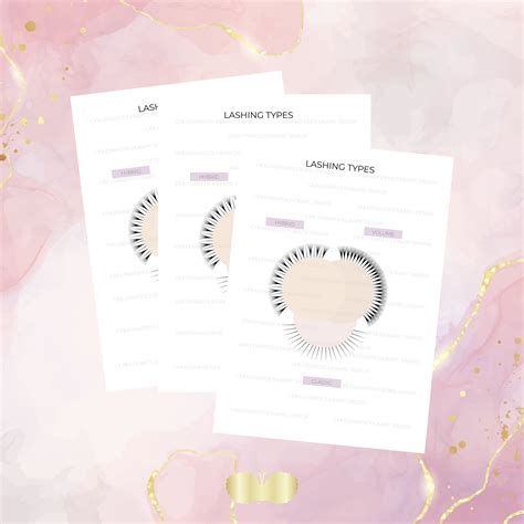 Lashing Types Eyelash Extensions Etsy