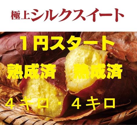 【未使用】 1円スタート！ 4キロ以上入り 熟成済 シルクスイート 千葉県産 サツマイモの落札情報詳細 ヤフオク落札価格検索 オークフリー