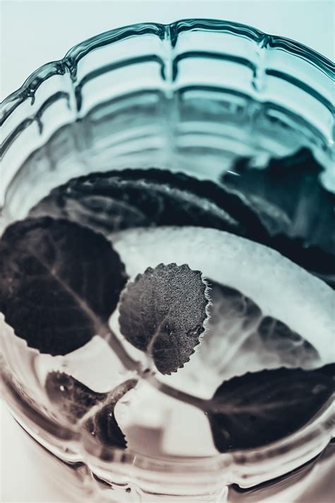 Natur Glass Umgebung Kostenloses Foto Auf Pixabay
