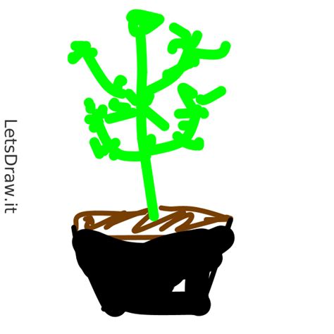 How To Draw Trees Fwytegw G Png LetsDrawIt