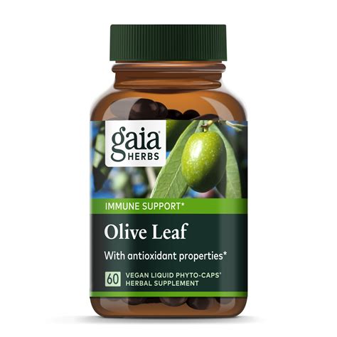 Gaia Herbs Organic Olive Leaf Capsules 60 Vegan Liquid Phyto Caps For