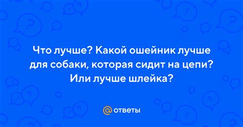 Ответы Mail.ru: Что лучше? Какой ошейник лучше для собаки, которая ...