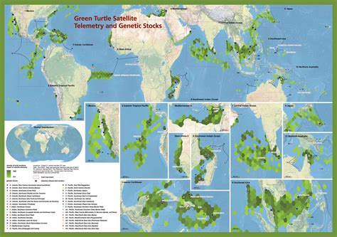 Printed Maps — The State Of The Worlds Sea Turtles Swot
