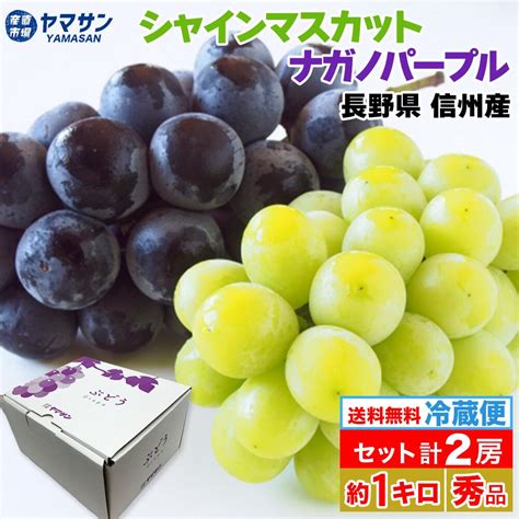 【楽天市場】長野県産 シャインマスカット ナガノパープル セット 各1房 2房セット 約1kg 1キロ 送料無料 クール便 ぶどう 産地直送