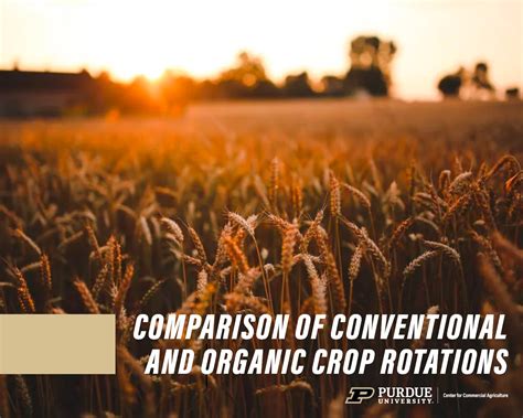 Study Finds Organic Farming More Profitable Than Conventional The