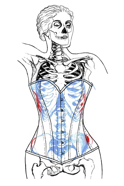 Corsets 101 Part 5 Pattern Matters Auralynne