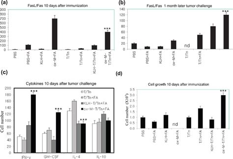 Cellular Immunity After Ttn Immunization Splenocytes From Immunized Download Scientific