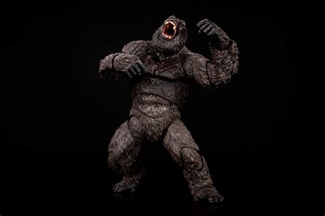 Kong 2021 Exclusive Edition Review
