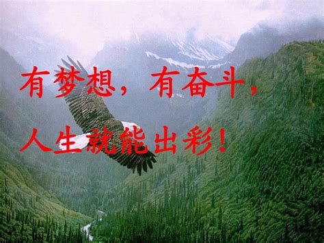 有梦想有奋斗人生就能出彩word文档在线阅读与下载无忧文档