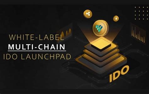 construction of a trustpad clone to introduce a multi chain ido launchpad