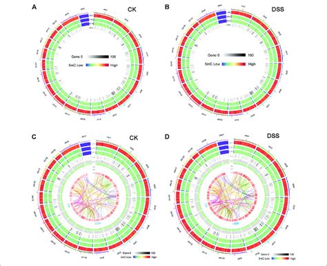 The Overview Of Dna Methylation In Control And Dextran Sulfate Sodium
