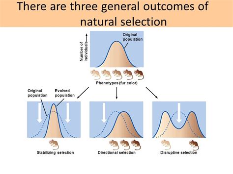 Chapter 11 And 12 Earth S Evolution Diagram Quizlet