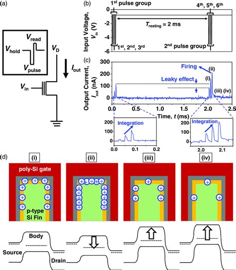 Lif Characteristics Of The L‐finfet Neuron A Measurement Scheme For