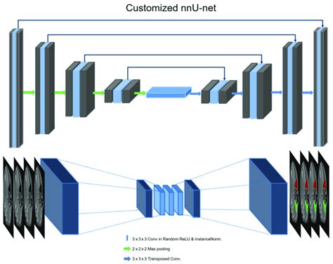 Deep Learning Architecture Of The Customized 3d U Net In The Nnu Net