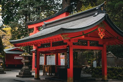 Ormandaki Geleneksel Japon Tapınağı Torii Kapısı · Ücretsiz Stok Fotoğraf