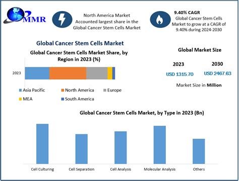 Cancer Stem Cells Market Global Analysis And Forecast 2030