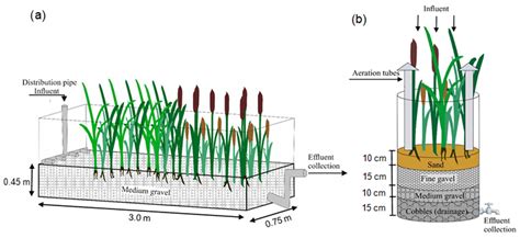 Constructed Wetlands