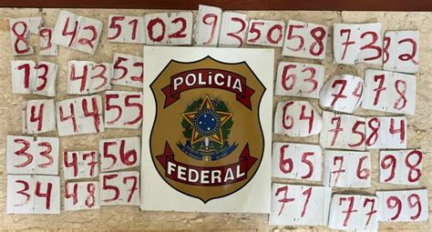 Retomada Iii Pf Deflagra Operação Para Combate A Crimes Ambientais Na
