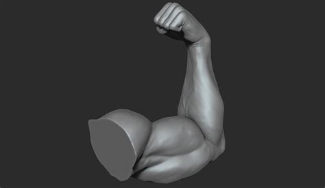 Artstation Muscular Male Arms 10 Poses Resources