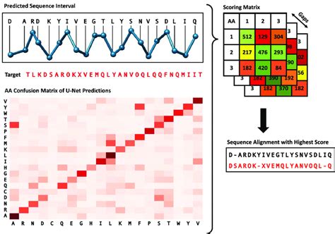 Pairwise Alignment Algorithm Biological Sequencing