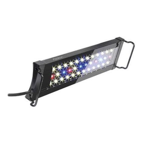 Choisir La Bonne Lumière Pour L aquarium