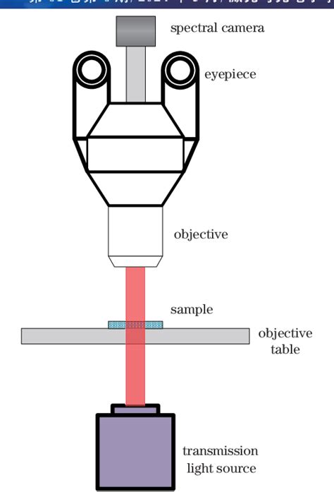 Figure 1 From Microspectral Imaging System And Algae Classification