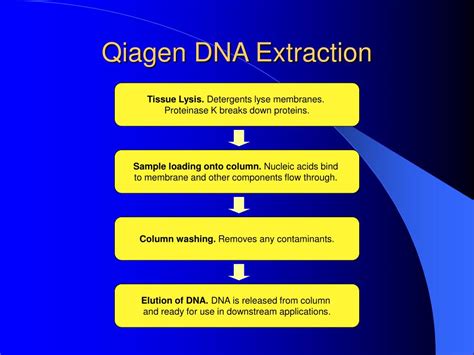 Ppt Dna Extraction Powerpoint Presentation Free Download Id 493780