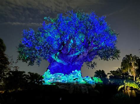 BREAKING VIDEO Take A First Look At NEW Avatar Inspired Tree Of Life Sequence MickeyBlog Com