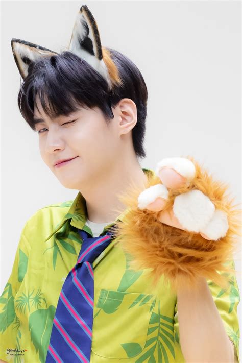 여우상 Vs 토끼상 아이돌 구별하는법 인스티즈 Instiz 이슈 카테고리