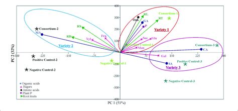 principal component analysis of root parameters root exudation and