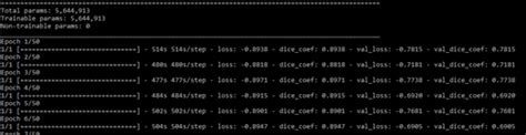 Terminal Output From Keras Showing The Epoch Number Loss Metrics And