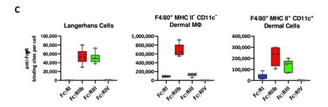 Characterization Of The Fcγr Expression On Skin Macrophage Subsets A