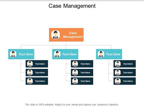 Case Management Ppt PowerPoint Presentation Styles Show Cpb