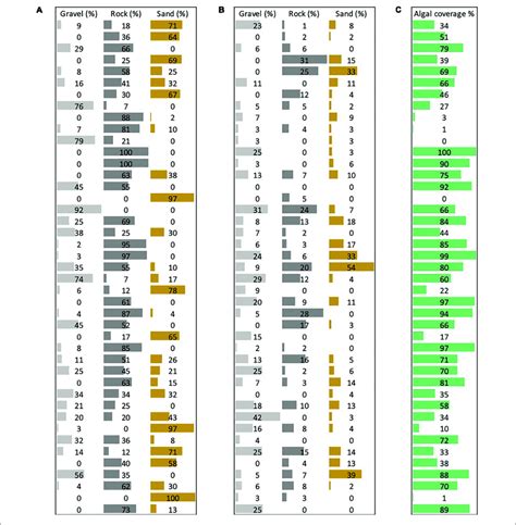 percentage average of a primary benthos type composition by