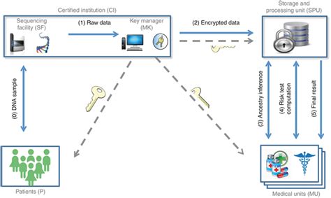 Privacy Preserving Architecture For Genetic Testing Genotype Data And