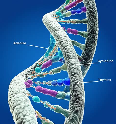 20250523143057 Hl9520bb Illustration