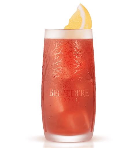 The Best Vodka Cocktails Belvedere Vodka Artofit