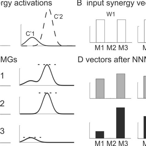 Synergy Analysis Steps Muscle Synergy Analysis Consists Of Identifying