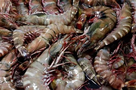Startup Aquatech Asal Indonesia Jala Tech Raup Pendanaan Rp 249 3