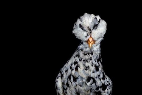 Photography By Yu Hong Kuo Ignant