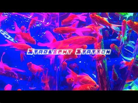 New Person Same Old Mistakes Tame Impala Slowed Reverb YouTube