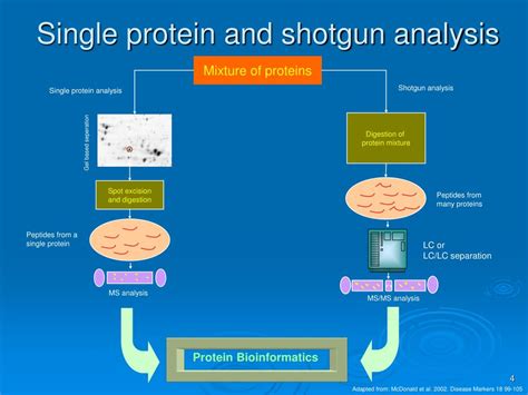 Ppt Protein Sequence Analysis Overview Powerpoint Presentation