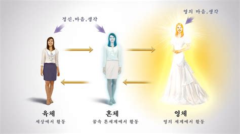 인간해대해인간의구조인생의존재목적구원영혼인생의답 Youtube